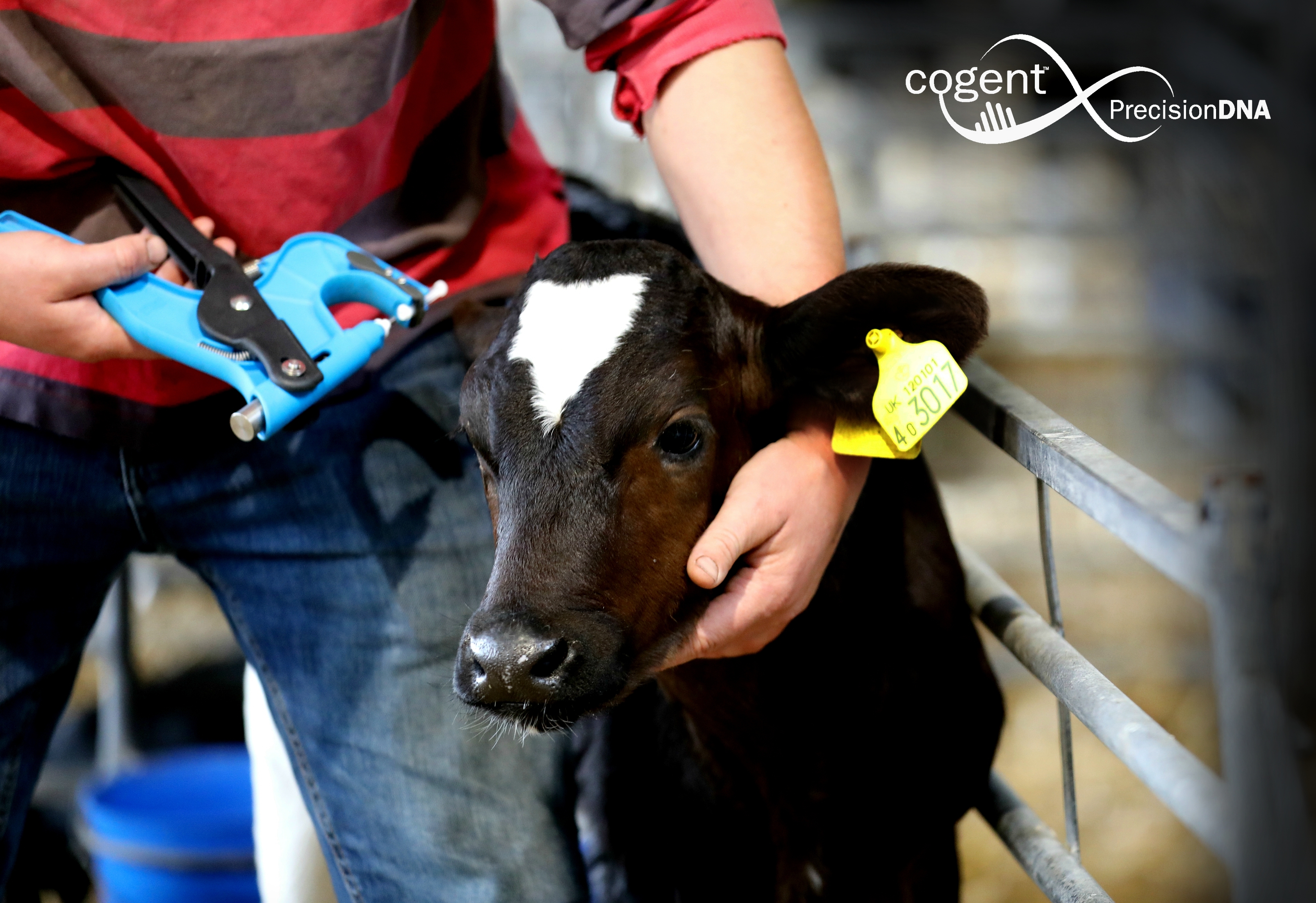 Precision DNA - Cogent UK