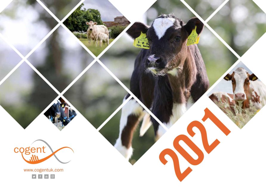 Our NEW Beef Impact brochure has landed! - Cogent UK