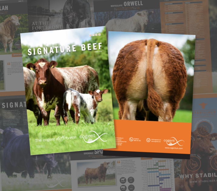 New partnerships strengthen Cogent’s Spring 2024 Signature Beef ...