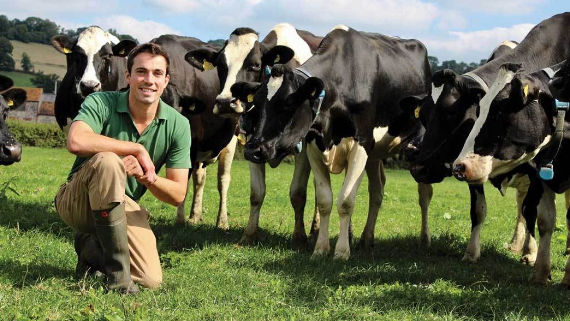 Sexed semen helping drive genetic gain and increase cow numbers - Cogent UK