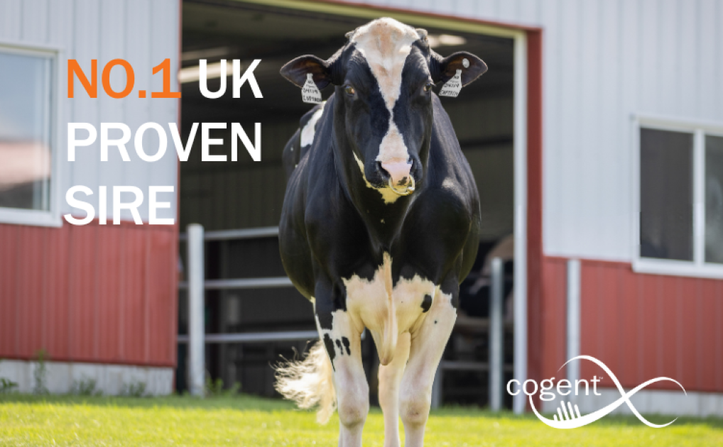 April 2024 - Proof Update - Cogent UK