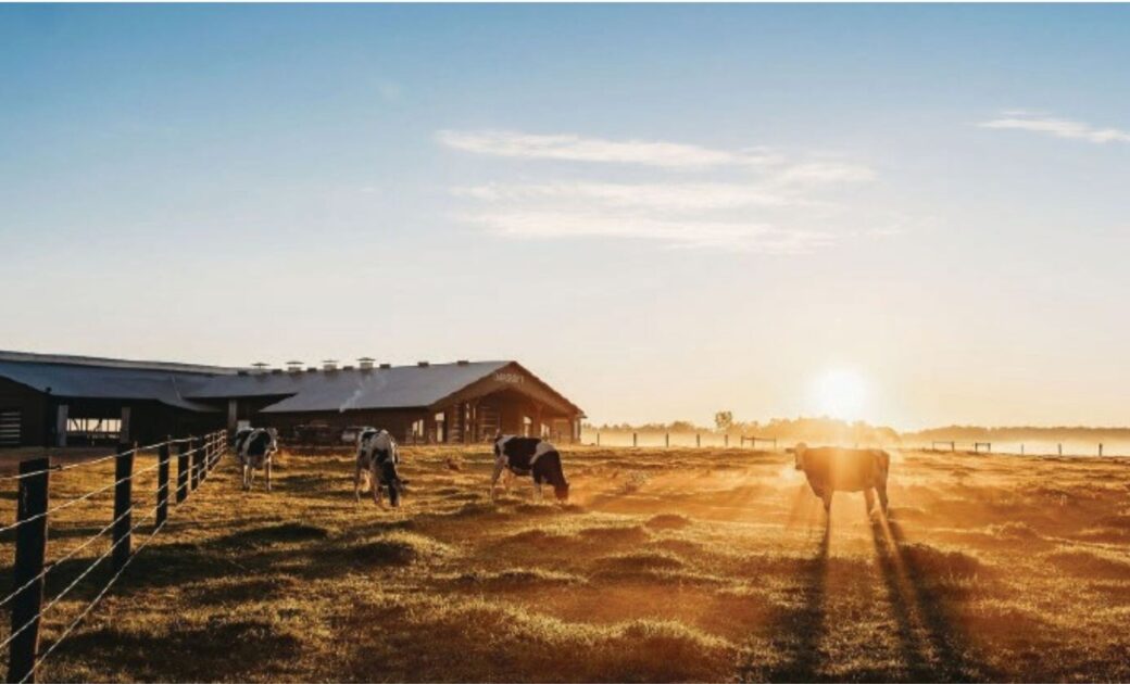 ECO2 A Revolutionary Approach to Sustainable Dairy Production - Cogent UK