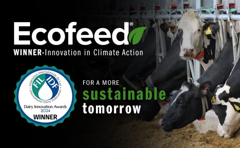 EcoFeed Wins Prestigious IDF Dairy Innovation Award for Climate Action ...