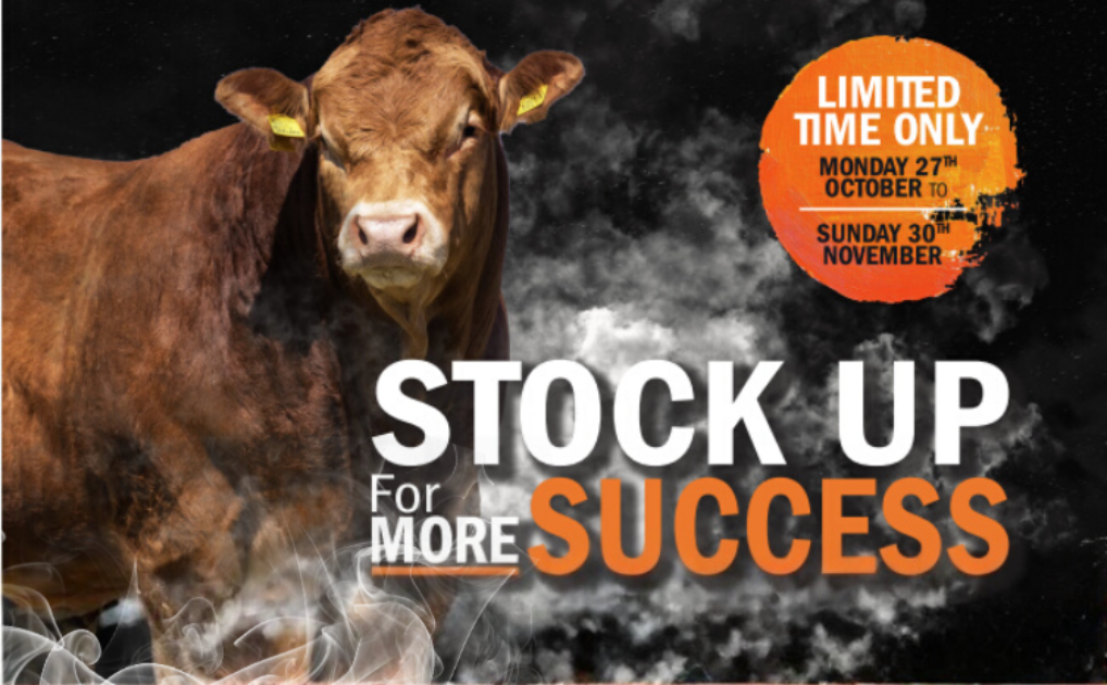 Stock up for MORE success | 2025 Signature Beef Offer - Cogent UK