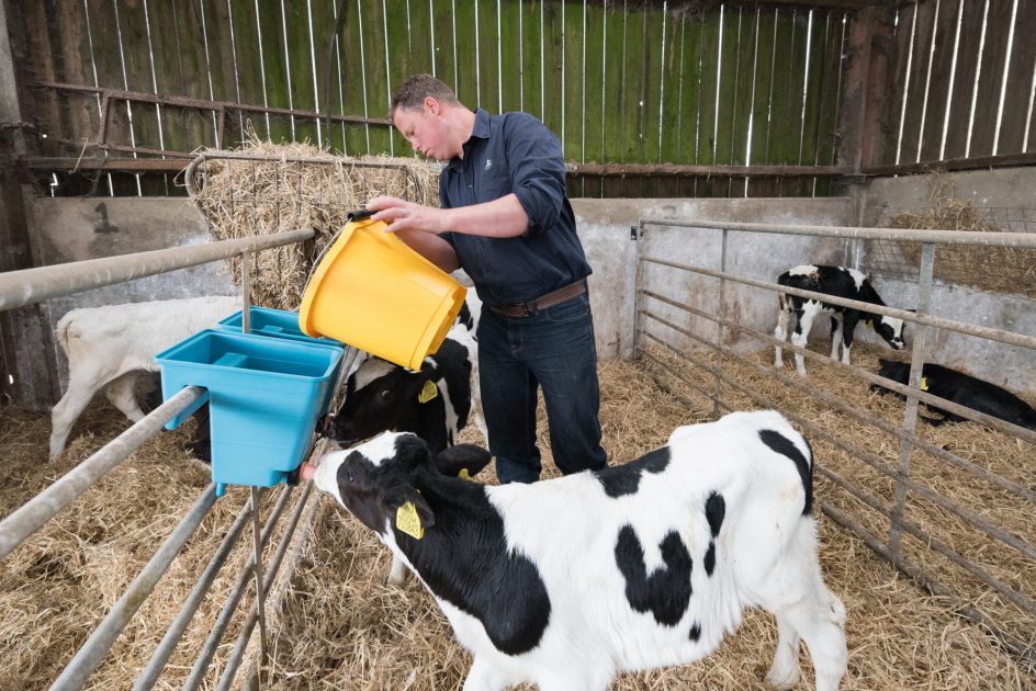 Farmer pledges commitment to breeding strategy - Cogent UK