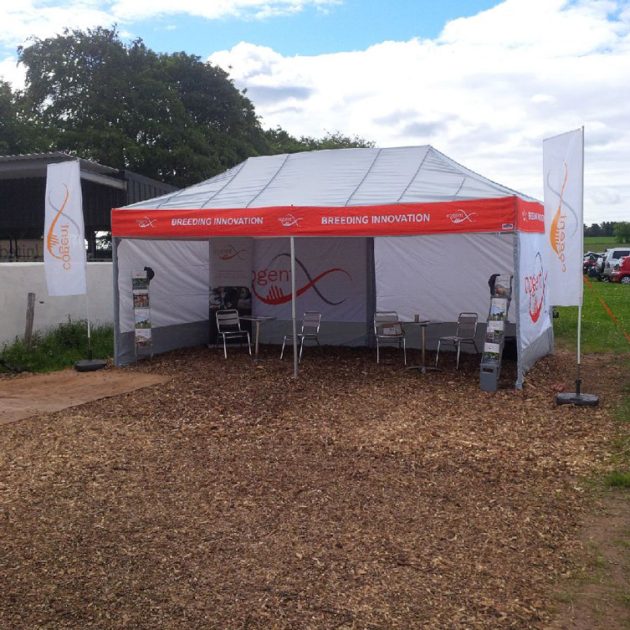 Cogent at the international sale of Dunlouise native Scottish Aberdeen ...