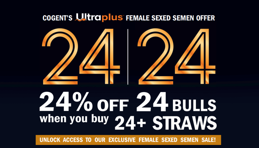 24 | 24 Signature Beef Female Sexed Semen Offer - Cogent UK
