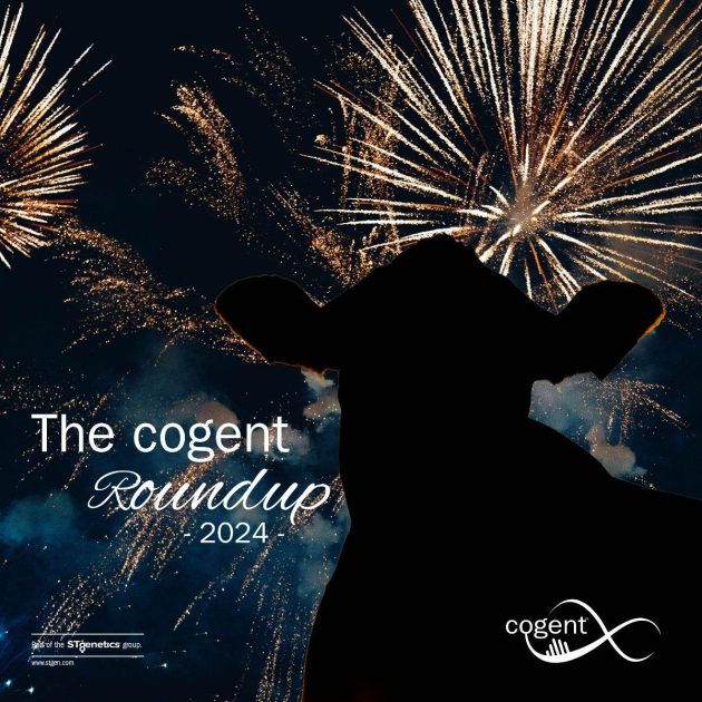 Breeding Success: Cogent's 2024 Highlights - Cogent UK